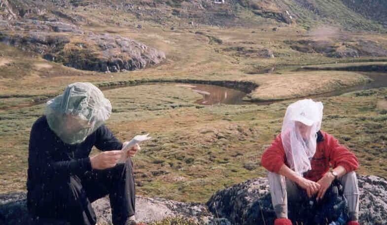 Avoid Midges in Orkney